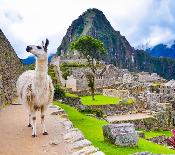 Inca Trail to Machu Picchu with best travel operator in Cusco & Peru